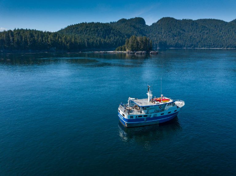 Best Small Ship Alaska Cruises For 2026 | Going Fast!